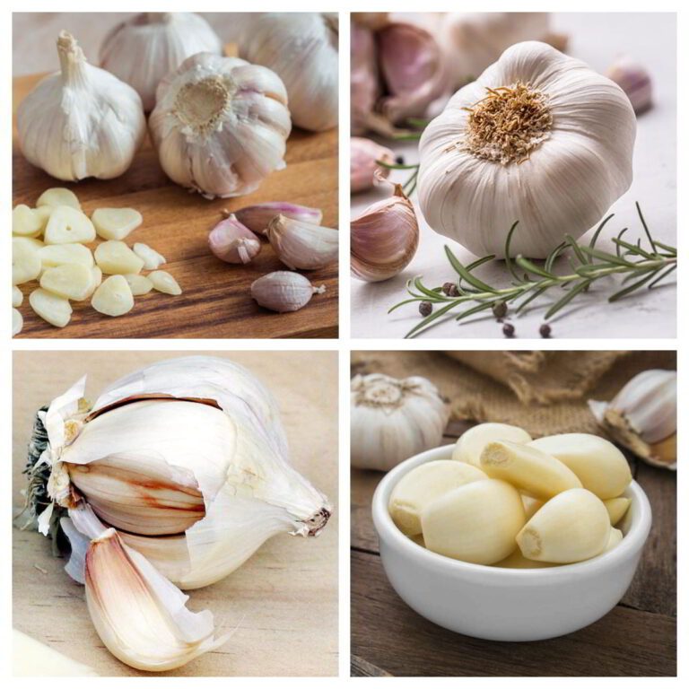 9 beneficios del consumo del ajo para la salud | 2026